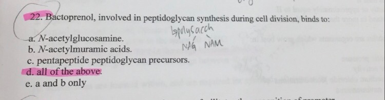 Solved 22. Bactoprenol, involved in peptidoglycan synthesis | Chegg.com
