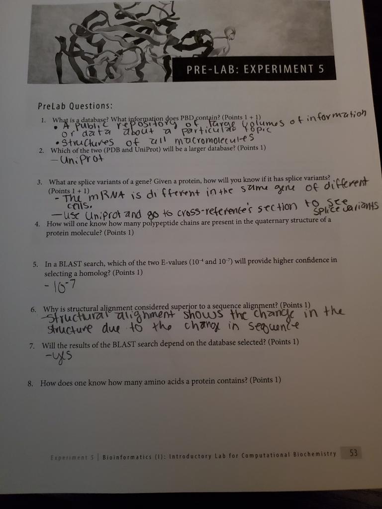 Solved PreLab Questions: 1. What is a database? What | Chegg.com