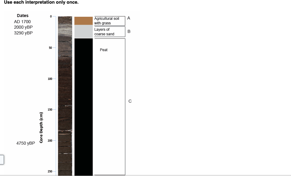 Solved To make interpretations, we must think about what | Chegg.com