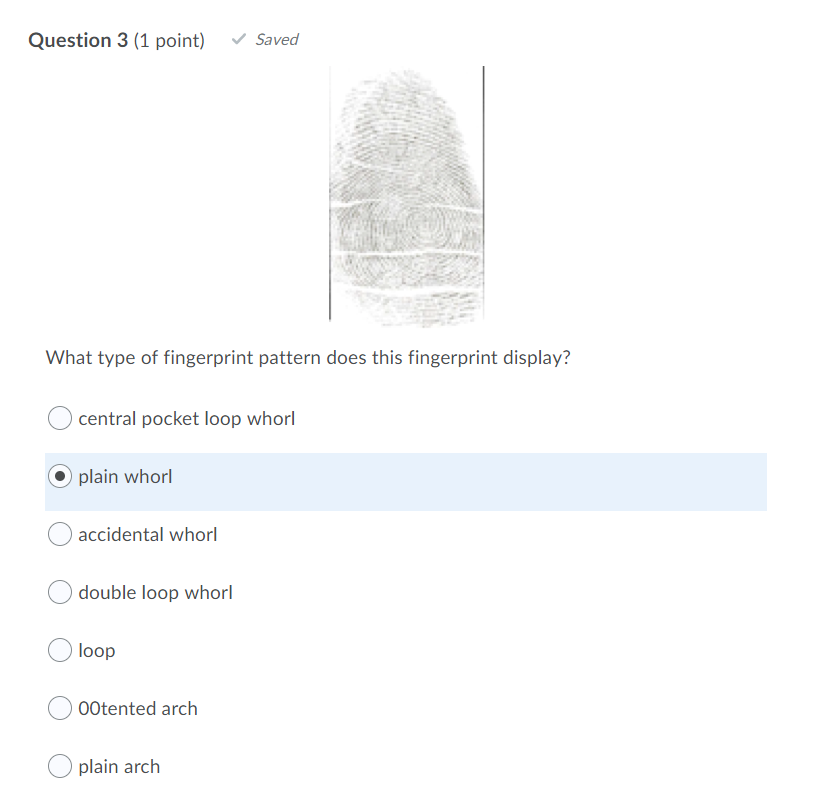 Solved Question 3 (1 point) Saved What type of fingerprint | Chegg.com