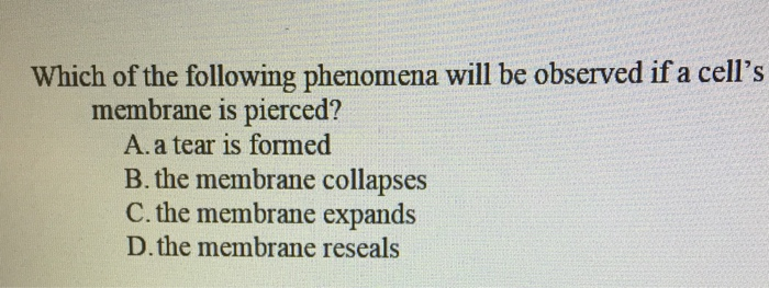 Solved Which of the following phenomena will be observed if | Chegg.com