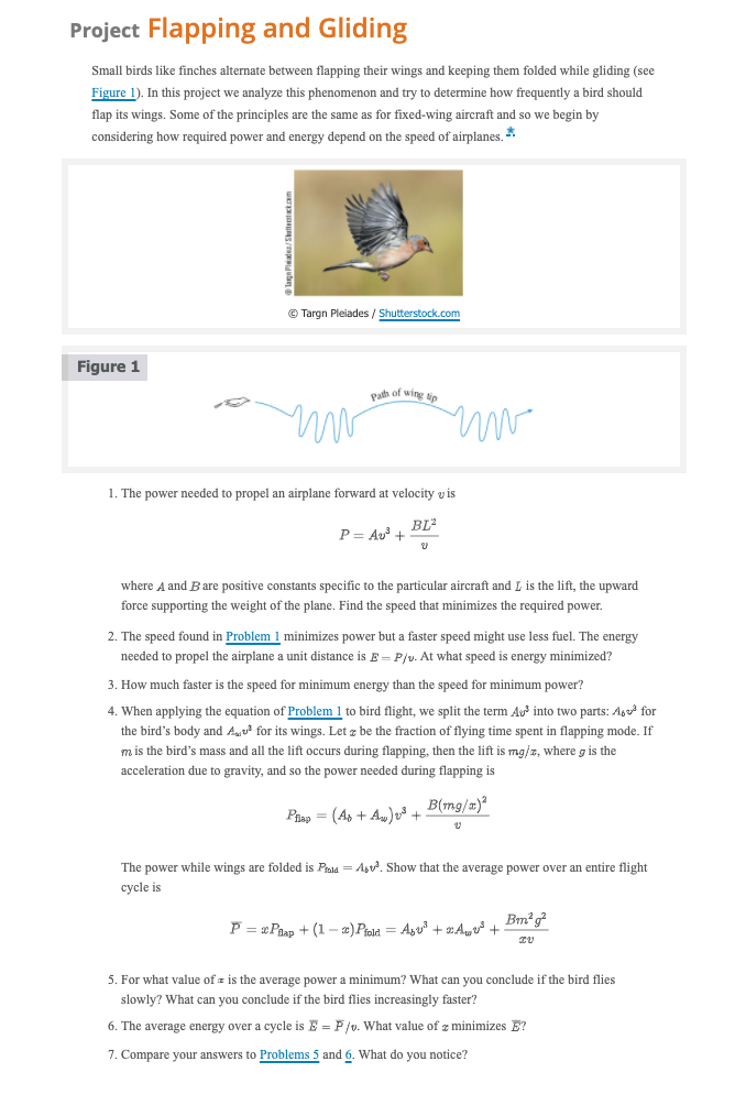 Solved Project Flapping and Gliding Small birds like finches | Chegg.com