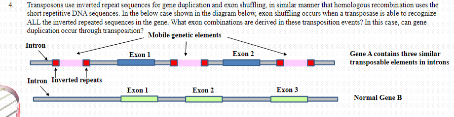 Solved Transposons use inverted repeat sequences for gene | Chegg.com