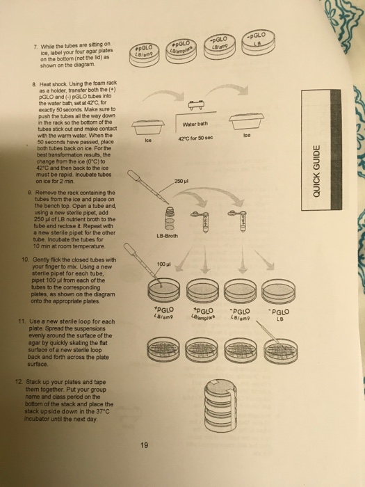Solved Name Before collecting data and analyzing your | Chegg.com