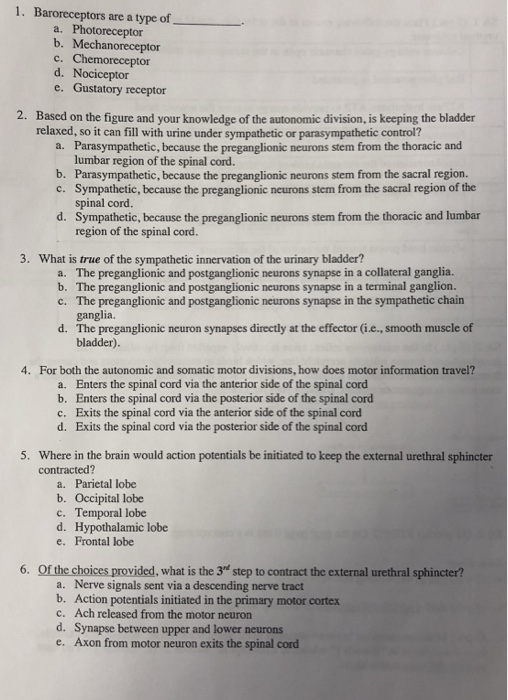 Solved Please help me complete this Biology Packet: This | Chegg.com