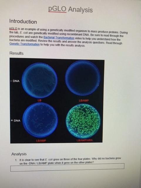 Solved PGLO Analysis Introduction RGLQ is an example of | Chegg.com