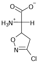 Solved The glutamine analog acivicin, a potential | Chegg.com