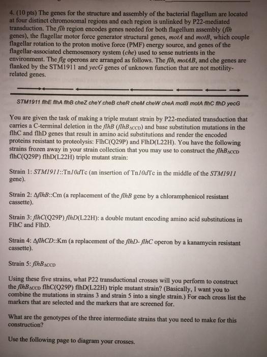 Solved 4. ( 10pts) The genes for the structure and assembly | Chegg.com