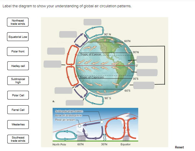 Solved Label the diagram to show your understanding of | Chegg.com