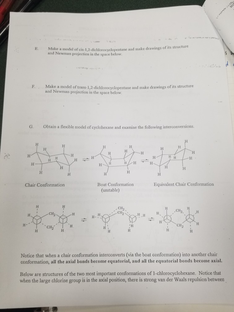 Solved E. Make a model of cis.1,2-dichlorocyclopentane and | Chegg.com