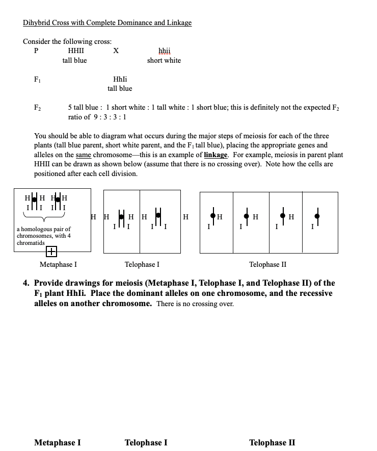 Solved Dihybrid Cross with Complete Dominance and Linkage | Chegg.com
