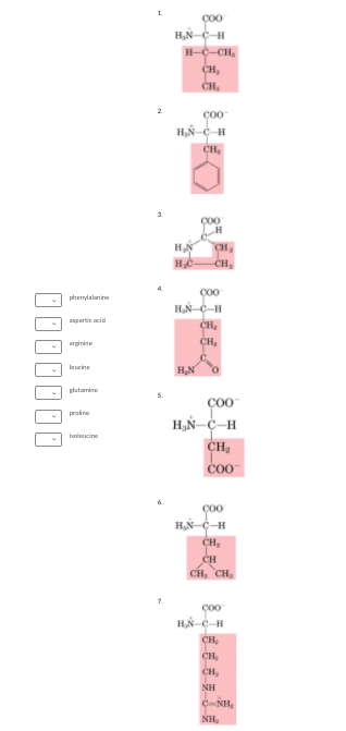 Solved 1 000 HNCH H-C–CH, CH, CH, сою HNCH CH, 000 HANCH HC | Chegg.com