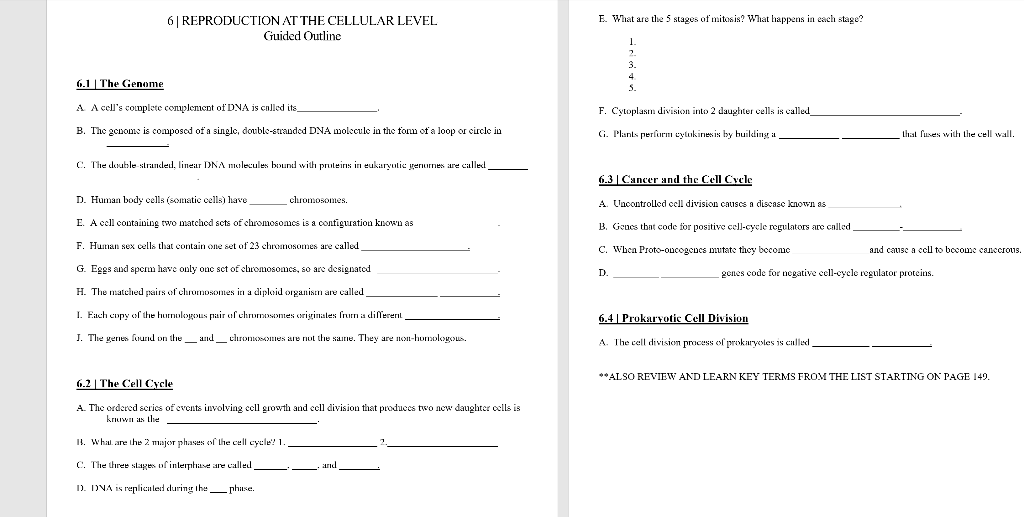 Solved 6 REPRODUCTION AT THE CELLULAR LEVEL Guided Outline | Chegg.com