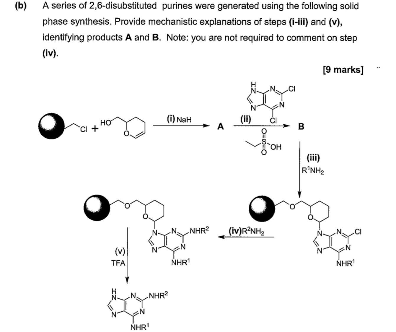 Solved A series of 2,6-disubstituted purines were generated | Chegg.com