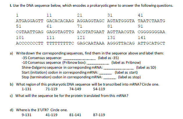 Solved 1. Use the DNA sequence below, which encodes a | Chegg.com