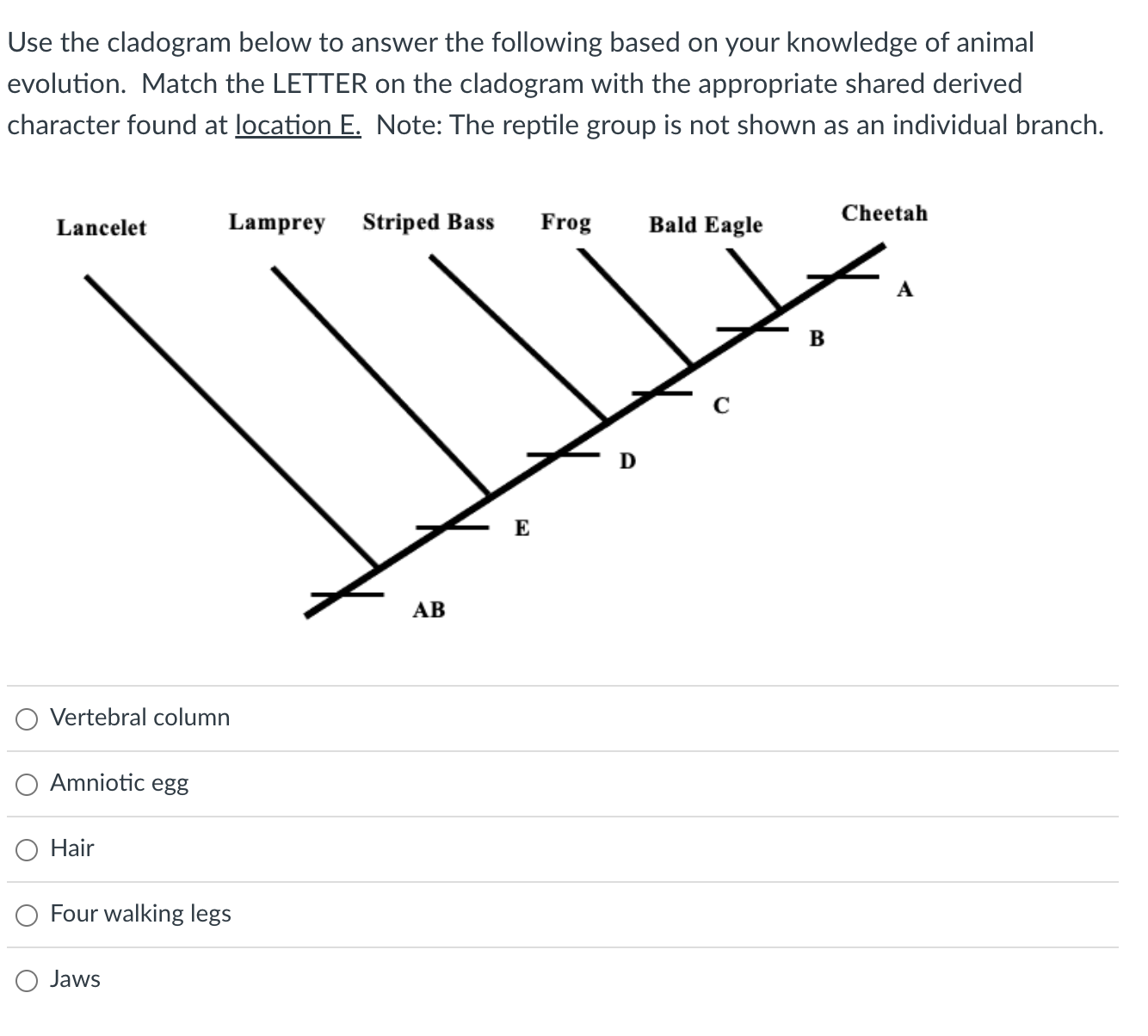 Solved Use the cladogram below to answer the following based | Chegg.com