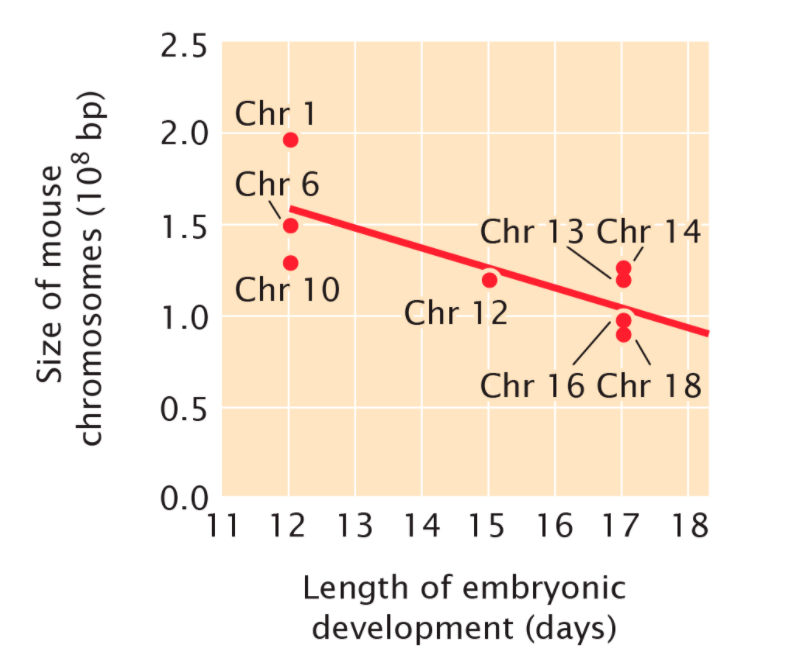 Solved Using breeding techniques, Andrei Dyban and V.S. | Chegg.com