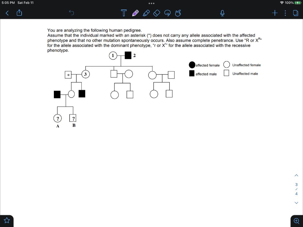 Solved You are analyzing the following human pedigree. | Chegg.com