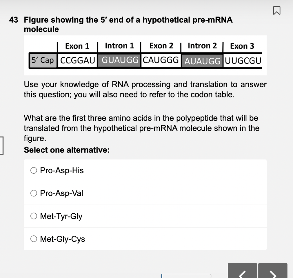 43 Figure showing the 5′ end of a hypothetical | Chegg.com