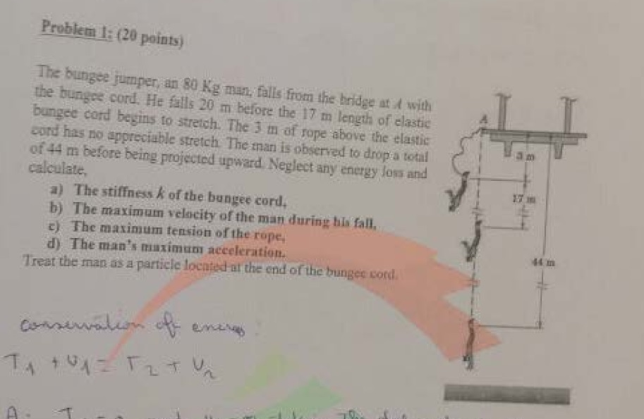 Solved Problem l: (20 points) The bungee jumper, an 80 Kg | Chegg.com