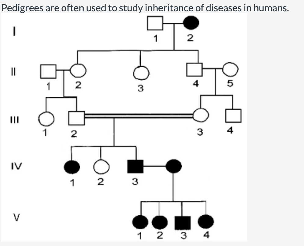 Solved Pedigrees are often used to study inheritance of | Chegg.com