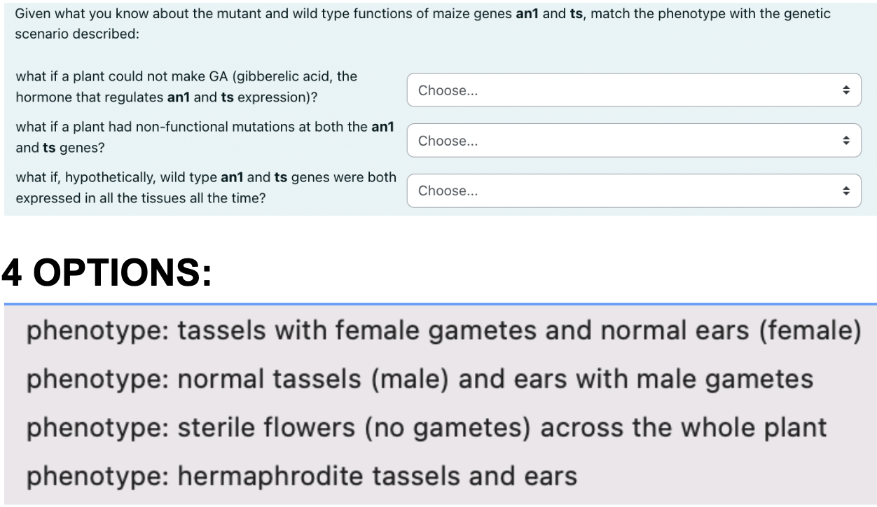 Solved 4 ﻿OPTIONS | Chegg.com