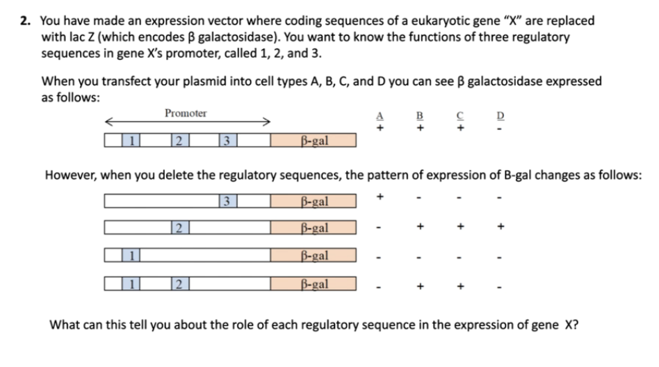 Solved 2. You have made an expression vector where coding | Chegg.com