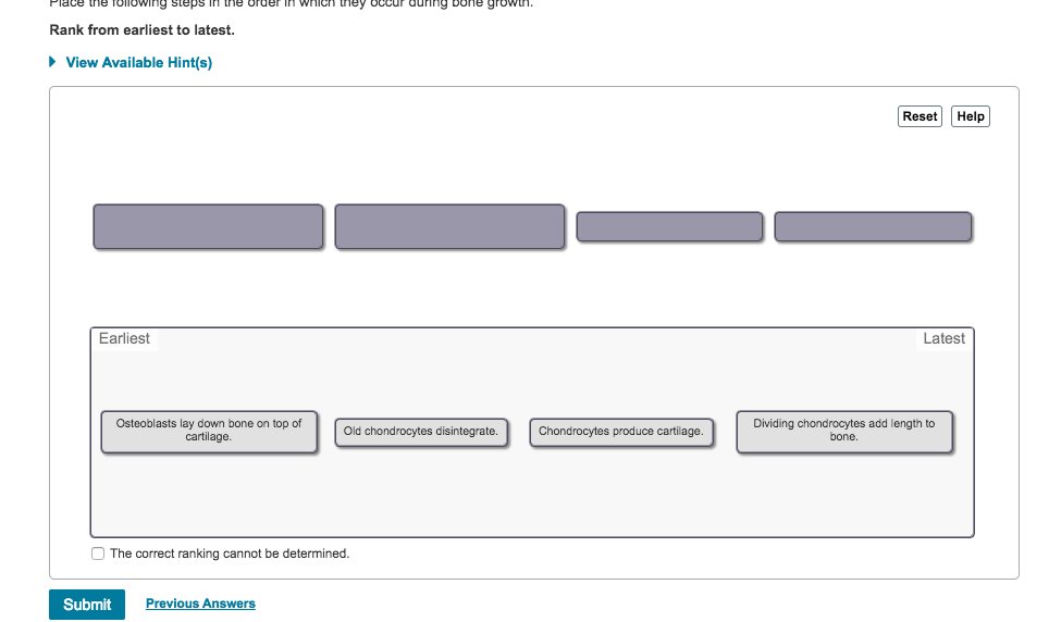 Solved lace the TOllowing steps ?n the order in which ney | Chegg.com ...
