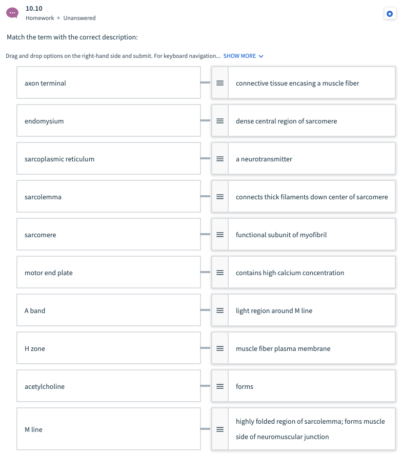 Solved Drag and drop options on the right-hand side and | Chegg.com