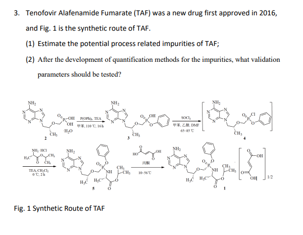 Solved 3. Tenofovir Alafenamide Fumarate (TAF) was a new | Chegg.com