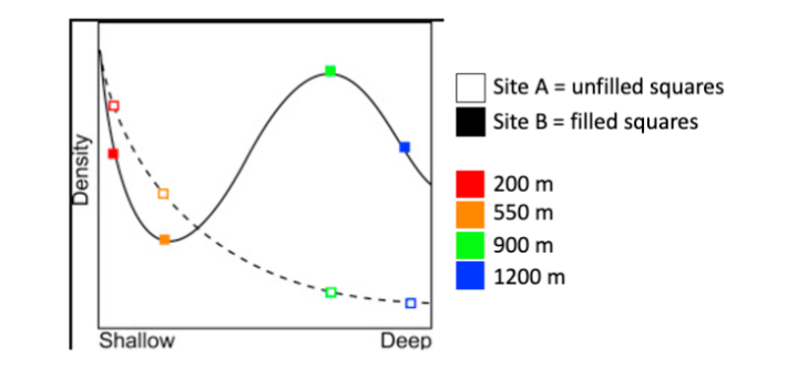 Solved The graph shows the density of animals (abundance per | Chegg.com