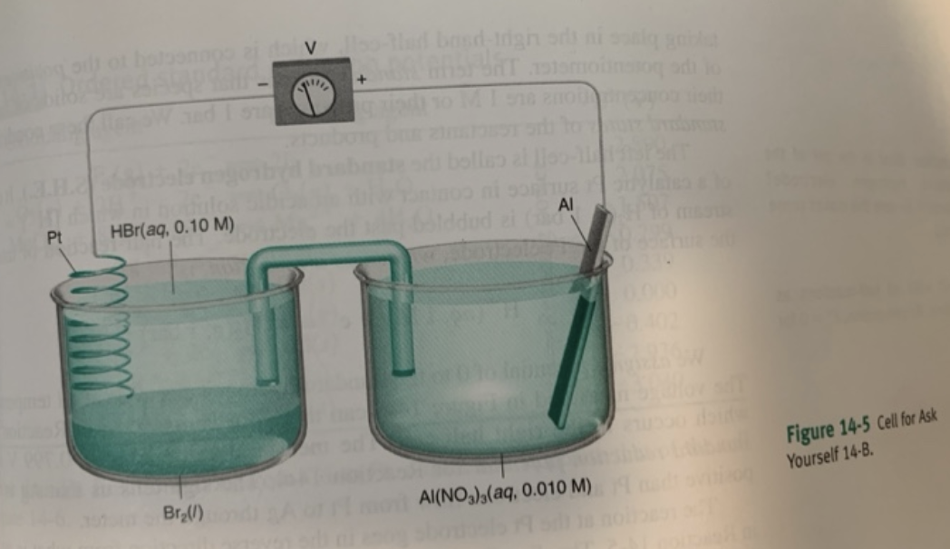 Solved 14-13. (a) Write reduction reactions for each | Chegg.com