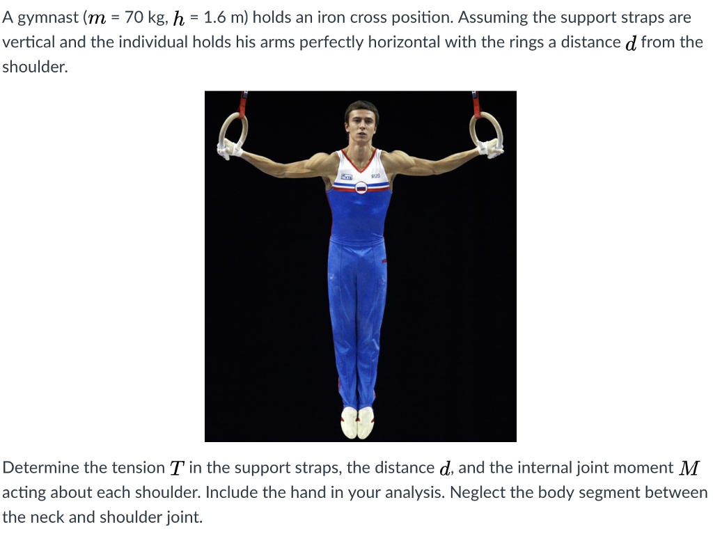 Solved A gymnast (m-70 kg, ћ-1.6 m) holds an iron cross | Chegg.com