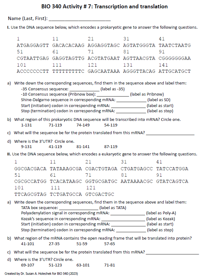 Solved Name (Last, First): I. Use the DNA sequence below, | Chegg.com