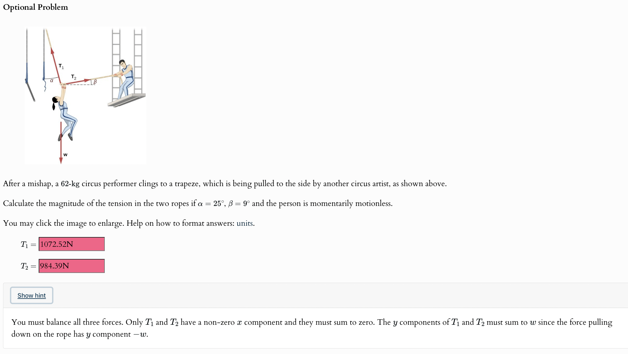 Solved Optional ProblemAfter a mishap, a 62-kg ﻿circus | Chegg.com
