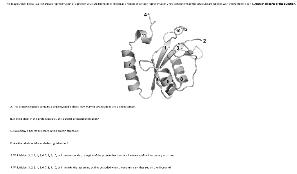 Solved The image shown below is a Richardson representation | Chegg.com