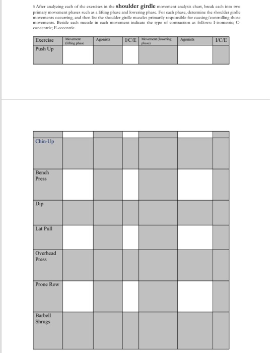 5 After analyzing each of the exercises in the | Chegg.com