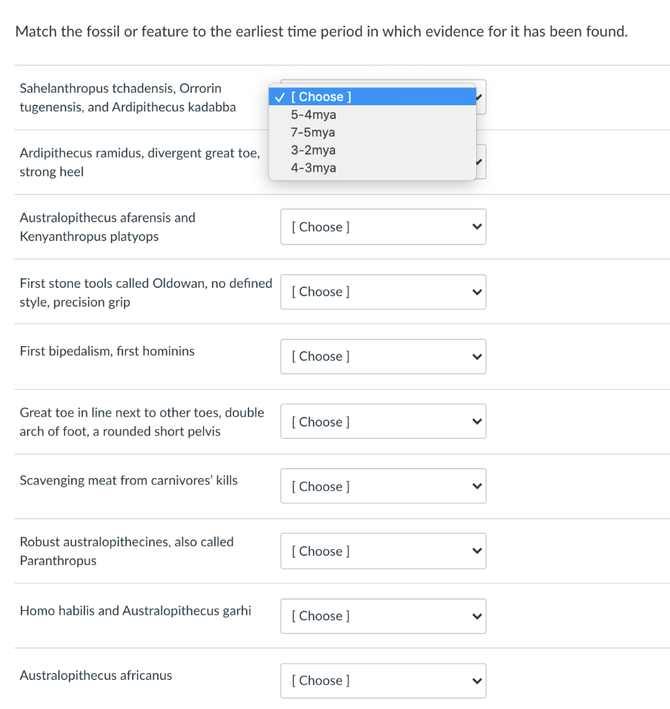 Solved Match the fossil or feature to the earliest time | Chegg.com