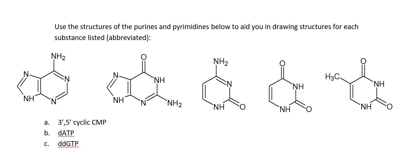 Solved Use the structures of the purines and pyrimidines | Chegg.com