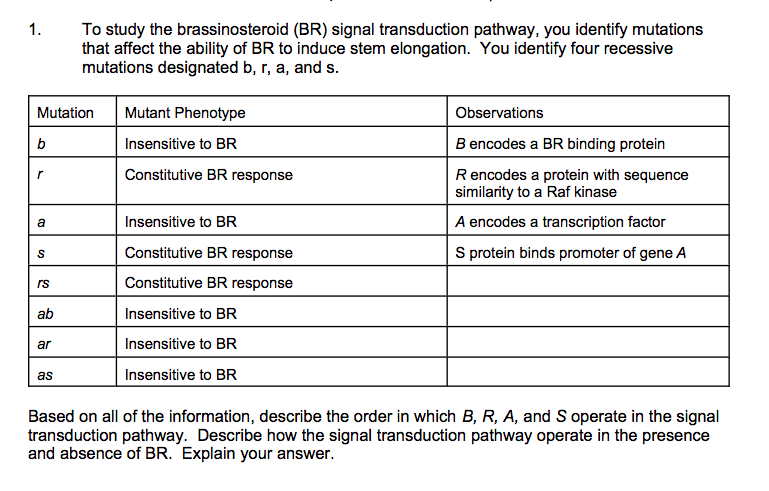 Solved 1.To study the brassinosteroid (BR) signal | Chegg.com