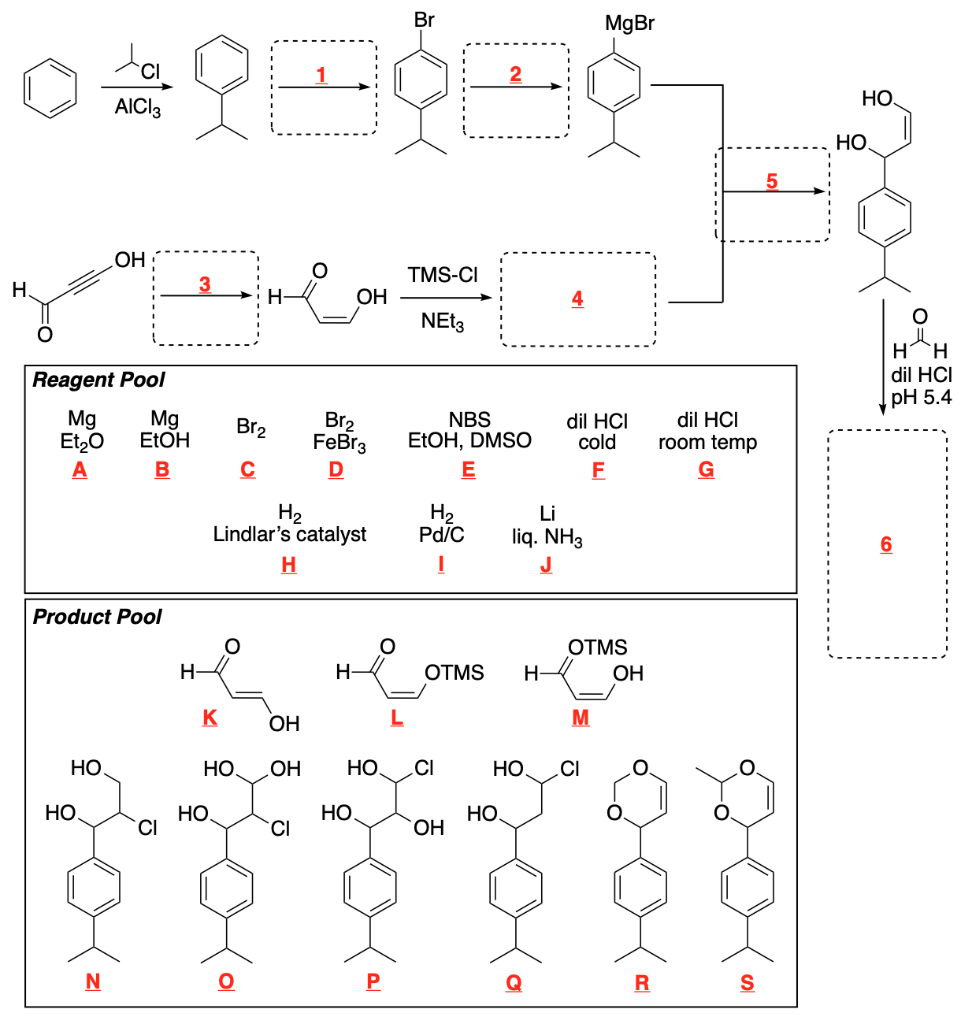 Solved 2 NEt3 TMS−Cl \begin{tabular}{|cccc} \hline | Chegg.com