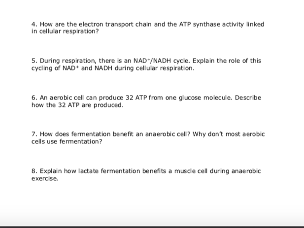 Solved 4. How are the electron transport chain and the ATP | Chegg.com