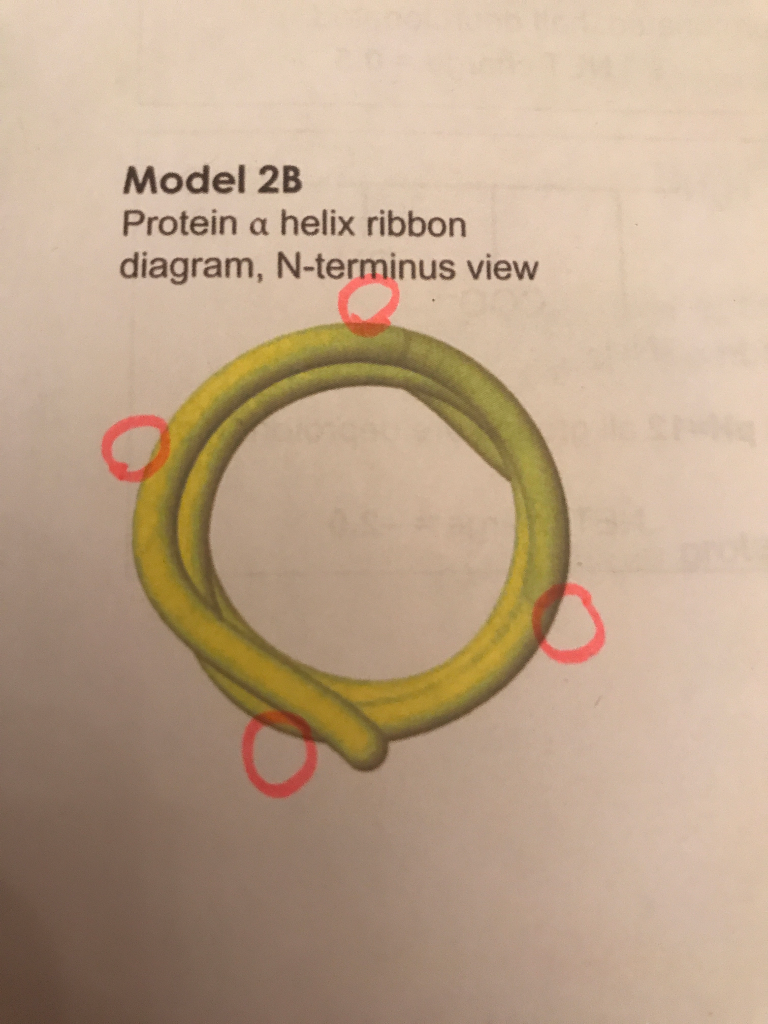 Solved Use model 3B to answer questions 22-27. it is a space | Chegg.com
