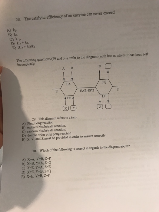 Solved 28. The catalytic efficiency of an enzyme can never | Chegg.com