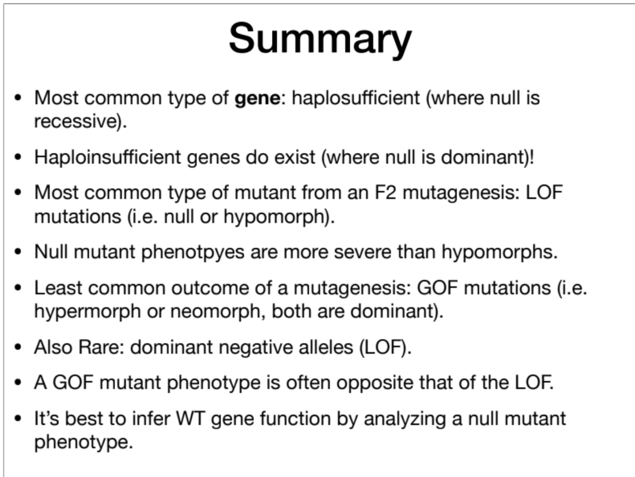 Solved Consider a gene (gene B) that has been targeted | Chegg.com