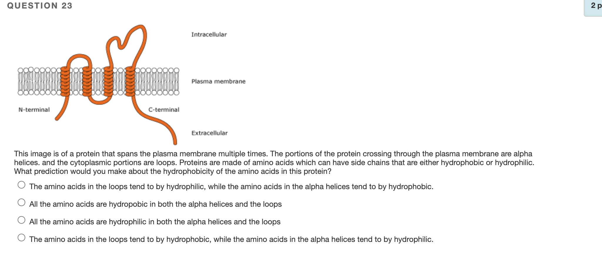 Solved QUESTION 23 2 p Intracellular NE Plasma membrane | Chegg.com