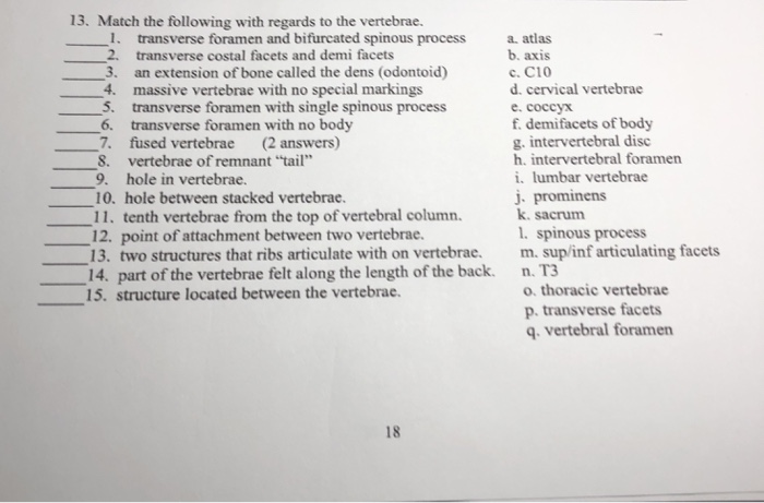 Solved 13. Match the following with regards to the | Chegg.com