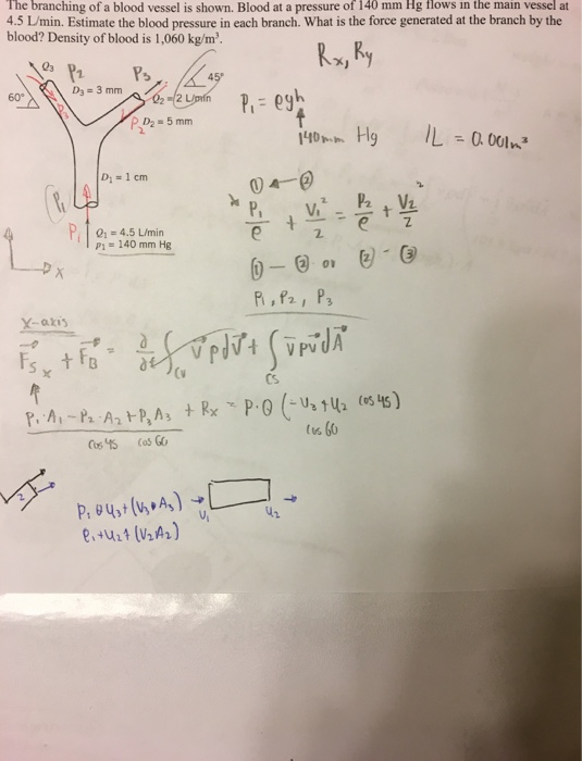 Solved The branching of a blood vessel is shown. Blood at a | Chegg.com