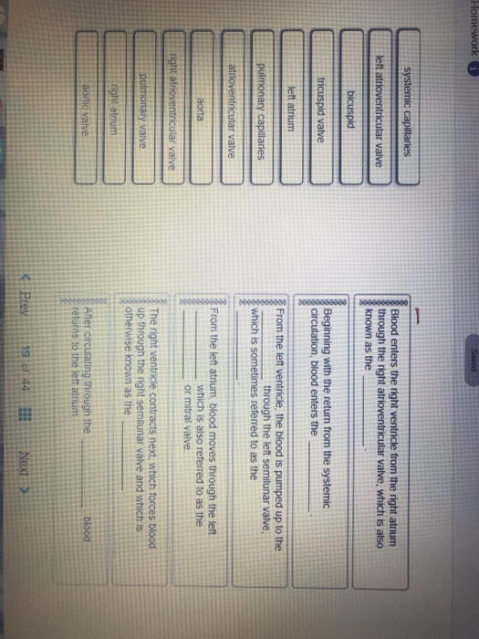 Solved Complete each sentence by dragging the labels to the | Chegg.com Solved Complete each sentence by dragging the labels to the | Chegg.com