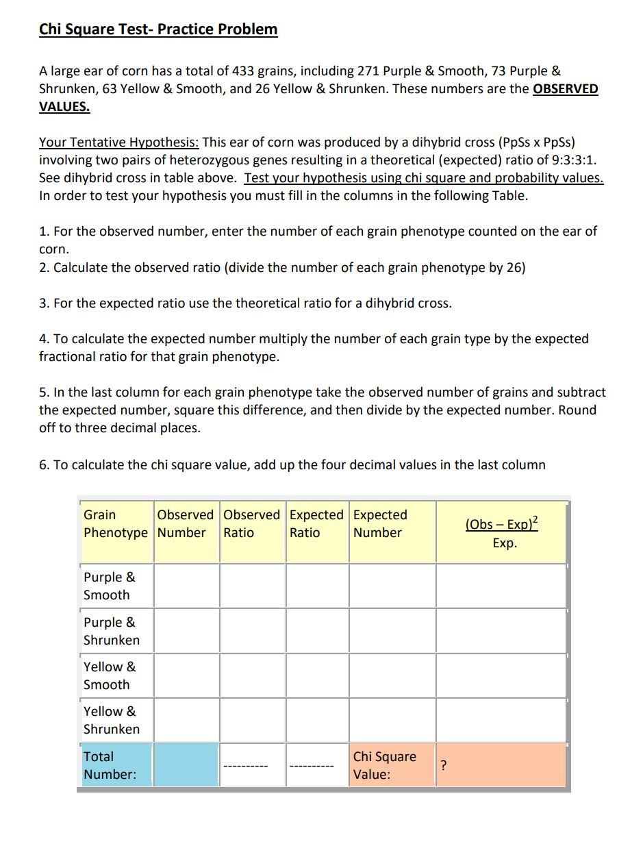 Solved Chi Square Test Practice Problem A large ear of corn | Chegg.com